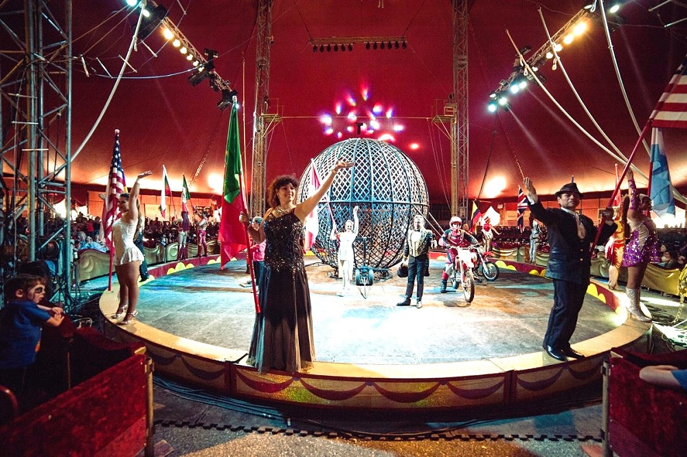 News for circus art lovers - Centre of Gravity
